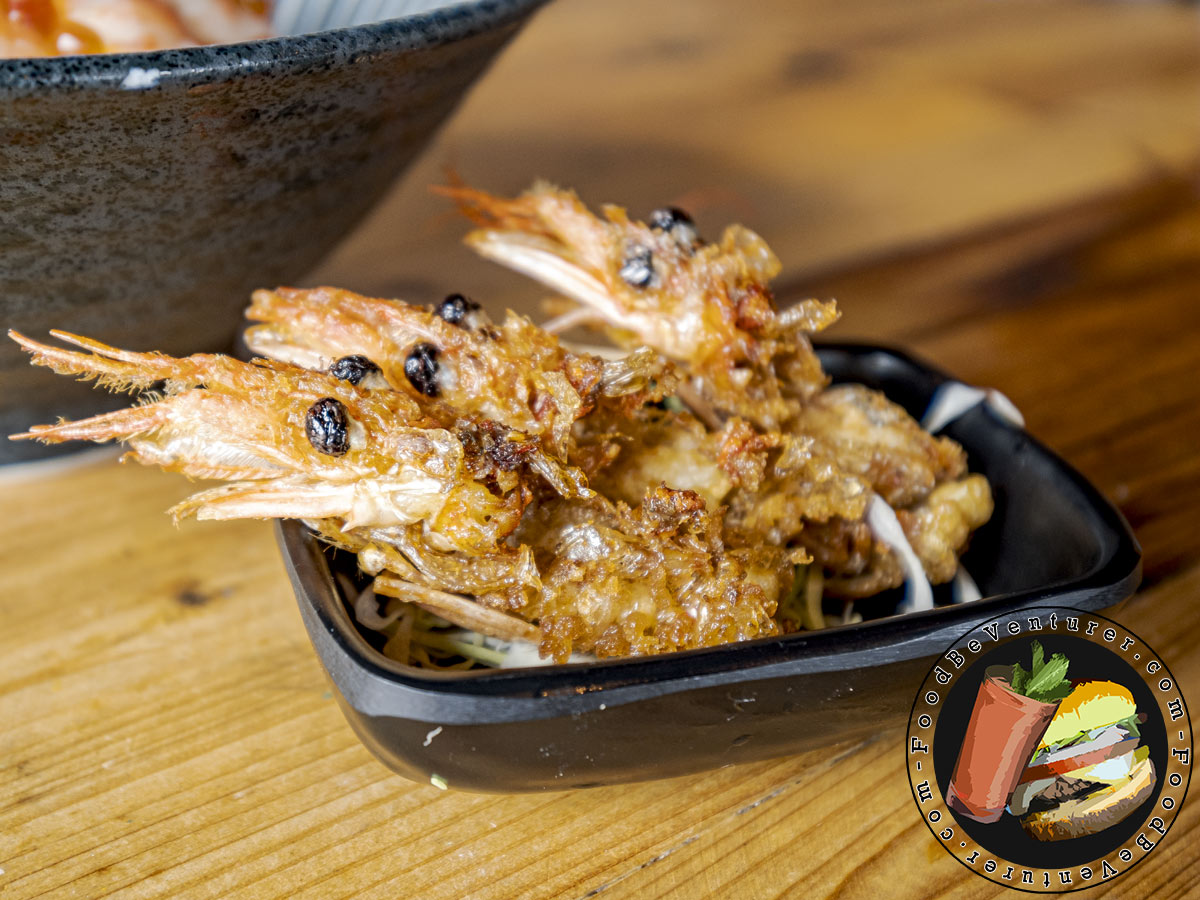 The Entire Spread – Akai Tori Ramen & Yakitori, Vienna VA – Food BEVenturer